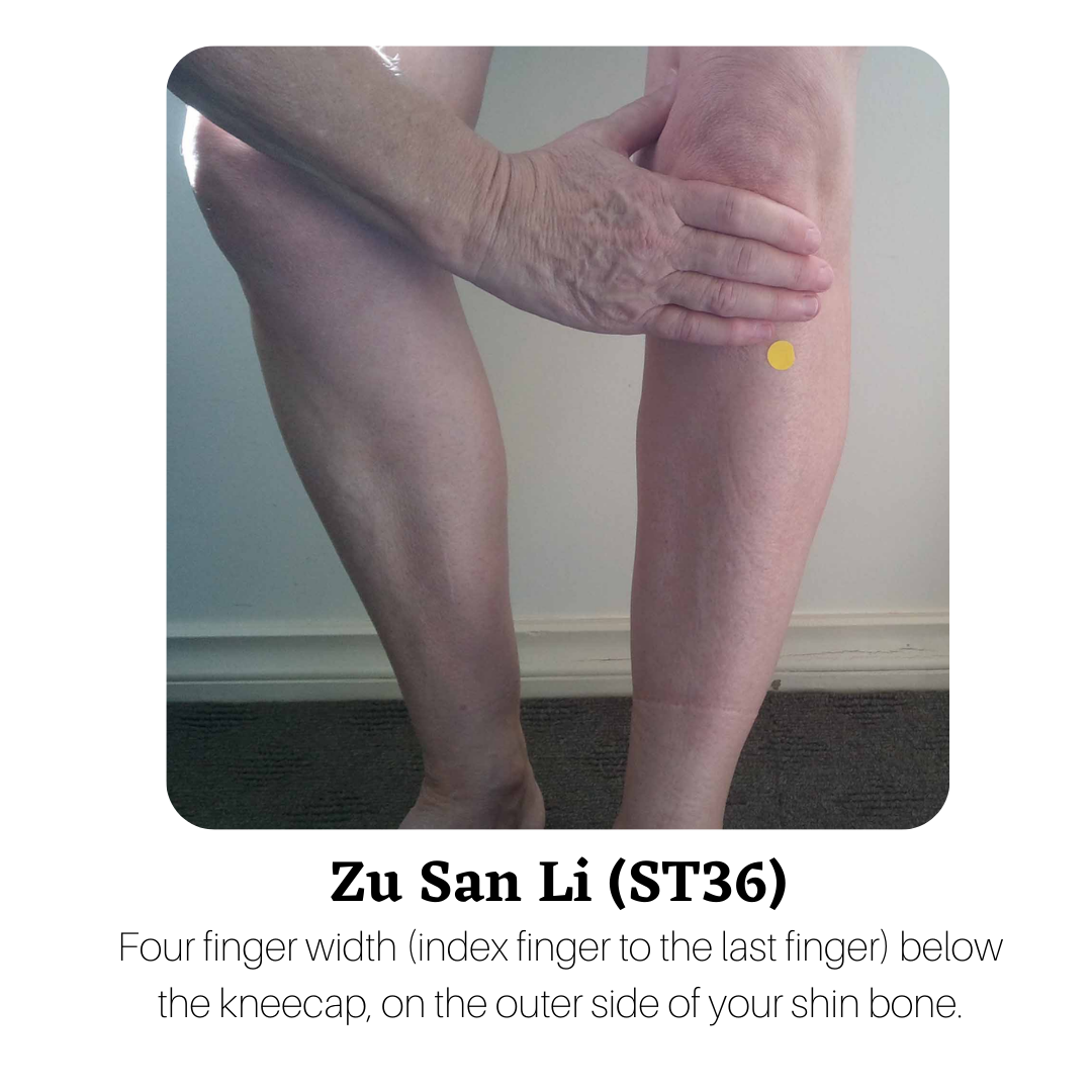 Optimizing your GUT health series: GERD with TCM - EMW Physiotherapy & TCM