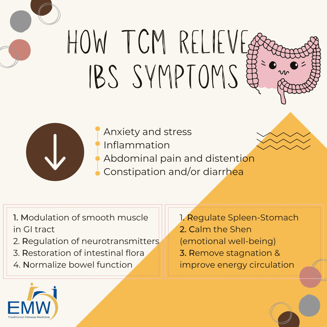 OYGH Series: TCM for IBS - EMW TCM